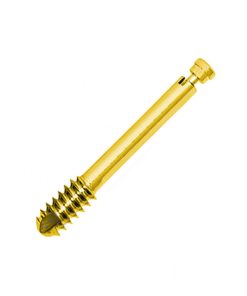 Dynamic Compression Screw - Marjan International-MIPL