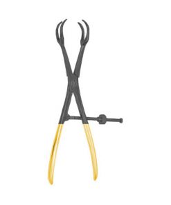 Patella-Bone Holding Forceps-Double Prong - Marjan International-MIPL